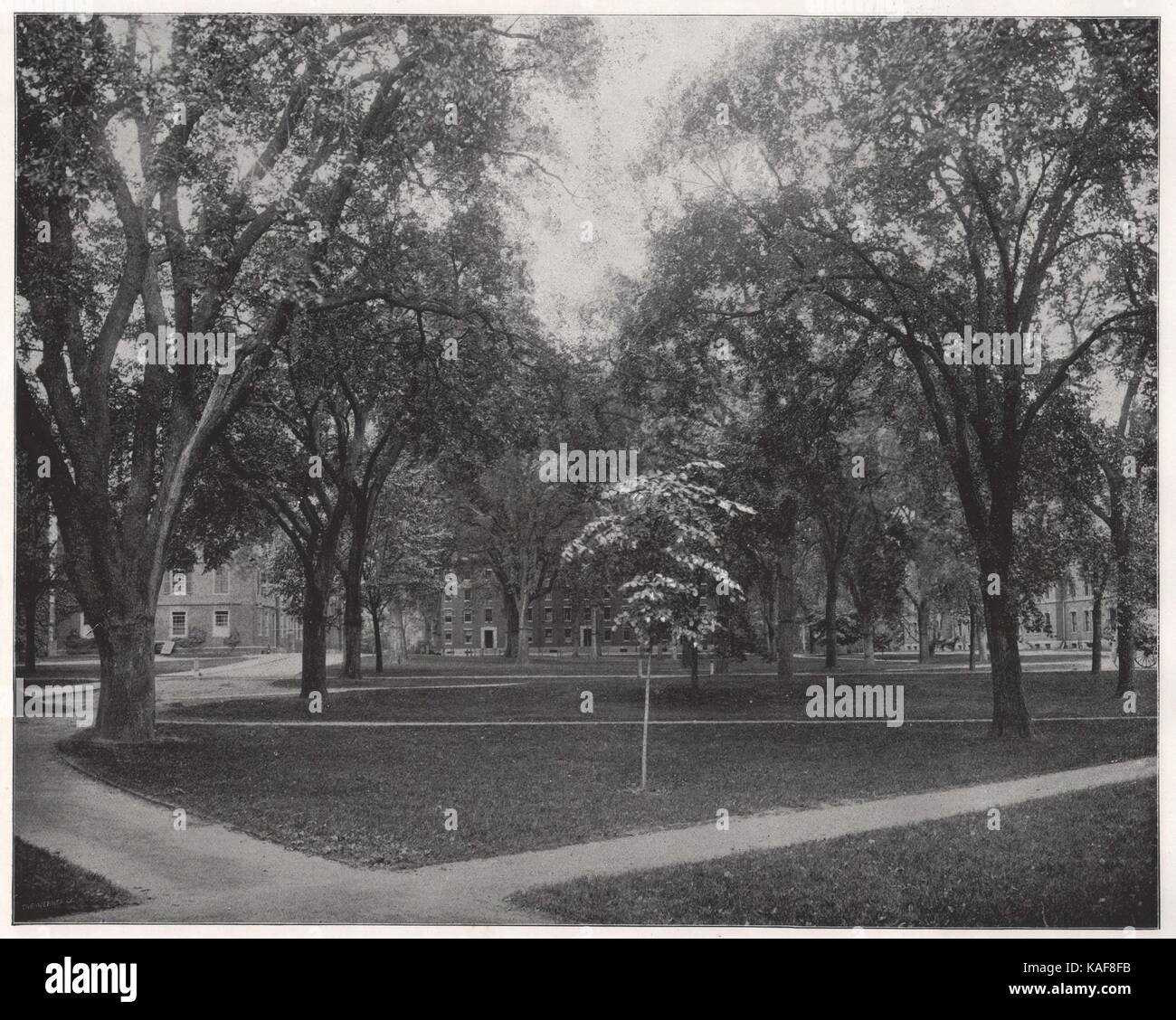 Harvard College Grounds Stock Photo - Alamy