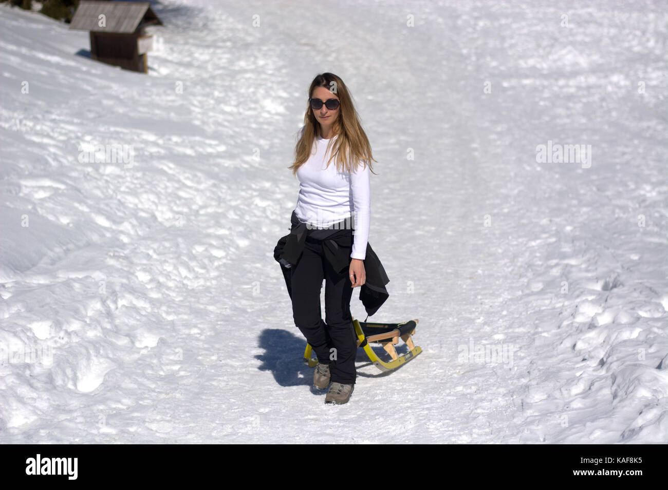 the woman with the sled goes up the snowy mountain Stock Photo - Alamy