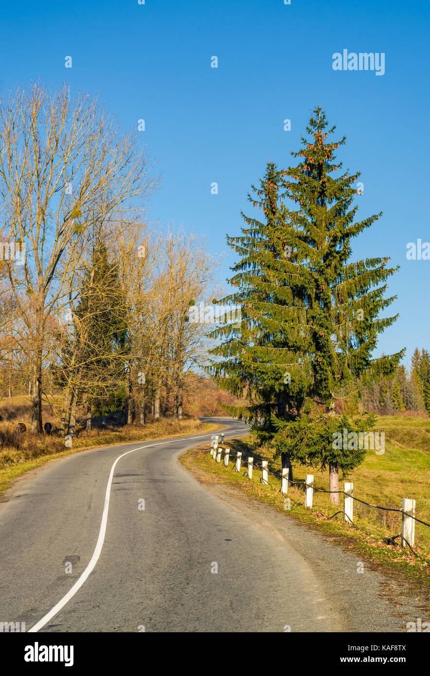 trees on serpentine in mountains at sunrise Stock Photo - Alamy