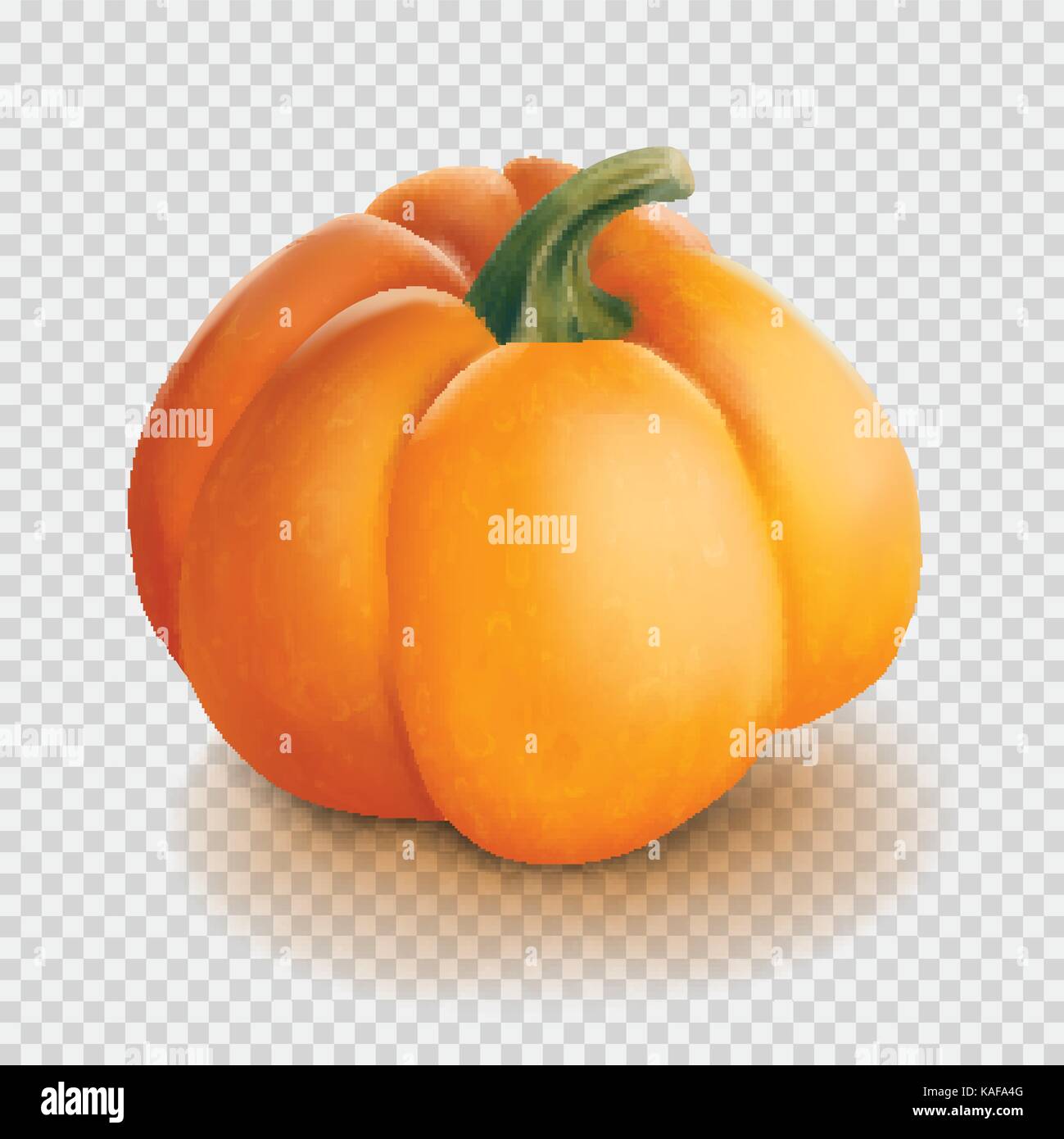 Realistic pumpkin isolated vector Stock Vector Image & Art - Alamy