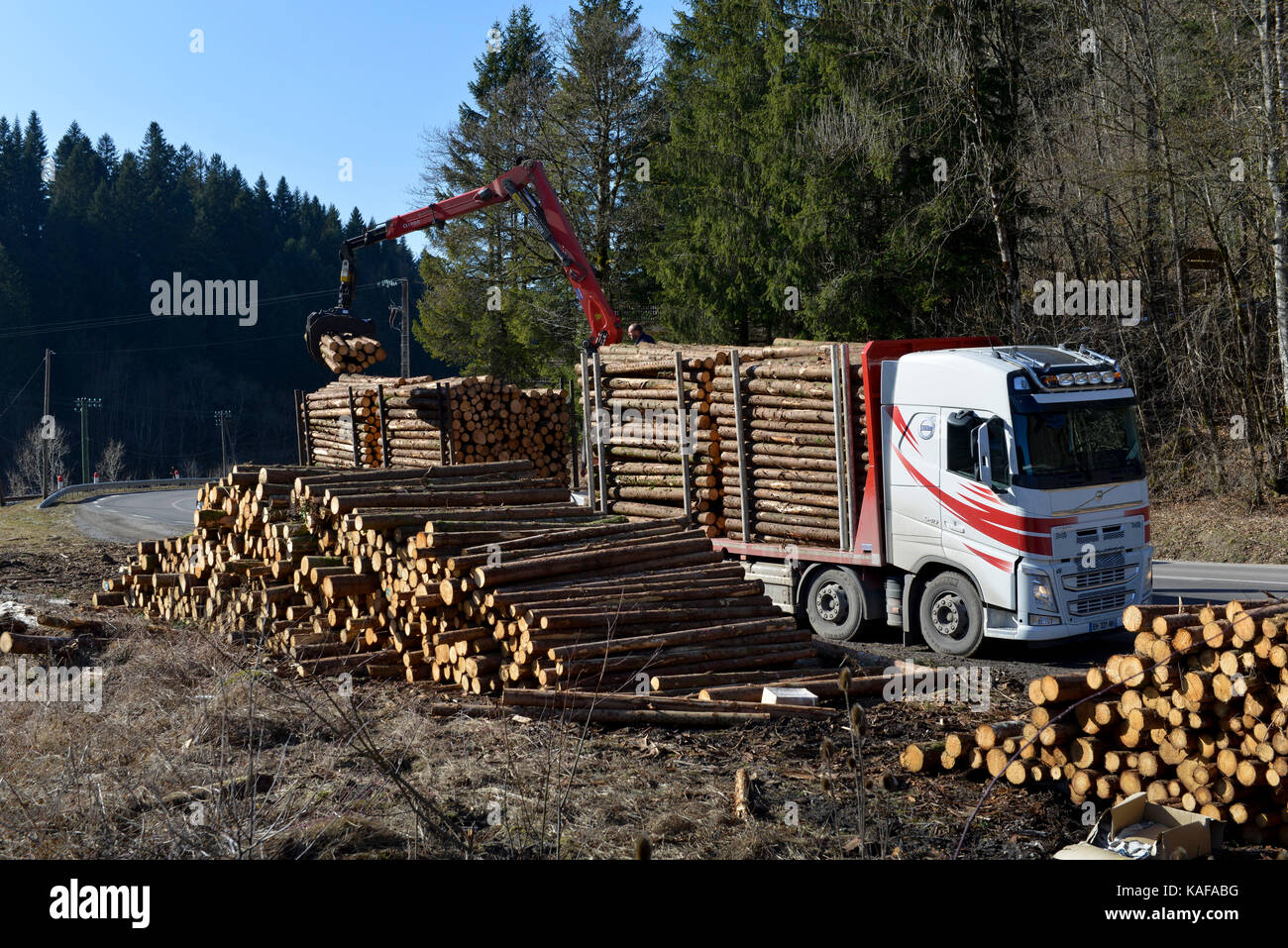 Loading pulp wood hi-res stock photography and images - Alamy