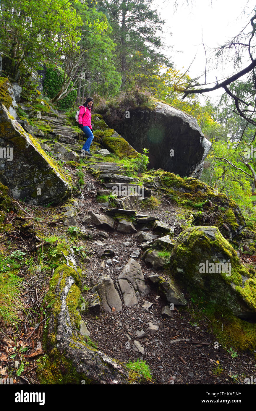Path around Castle Tioram - Ardnamurchan Peninsula - Scotland Stock ...
