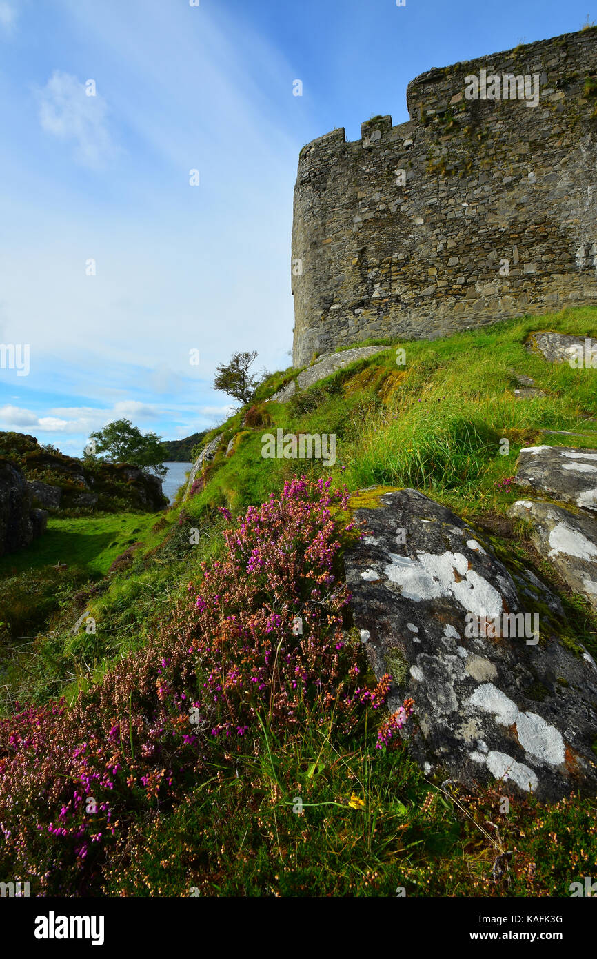 Castle Tioram - Ardnamurchan Peninsula - Scotland Stock Photo - Alamy