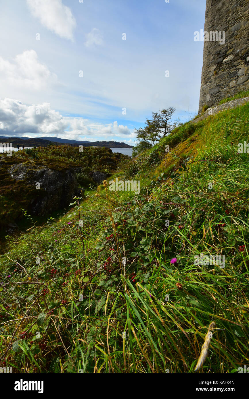 Castle Tioram - Ardnamurchan Peninsula - Scotland Stock Photo - Alamy