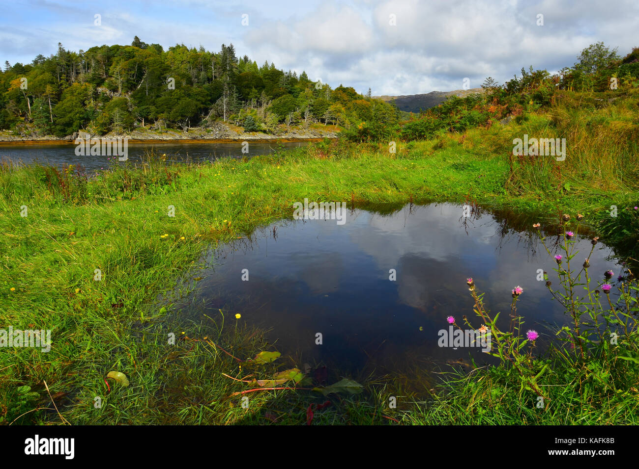 Castle Tioram - Ardnamurchan Peninsula - Scotland Stock Photo - Alamy