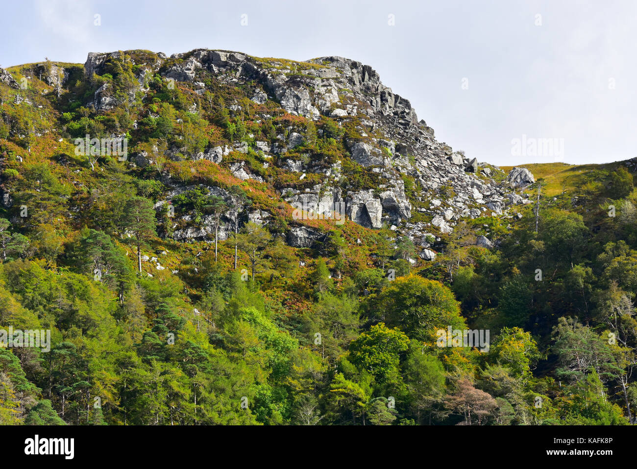 Castle Tioram - Ardnamurchan Peninsula - Scotland Stock Photo - Alamy