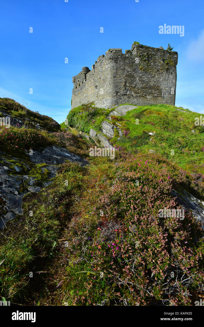 Castle Tioram - Ardnamurchan Peninsula - Scotland Stock Photo - Alamy