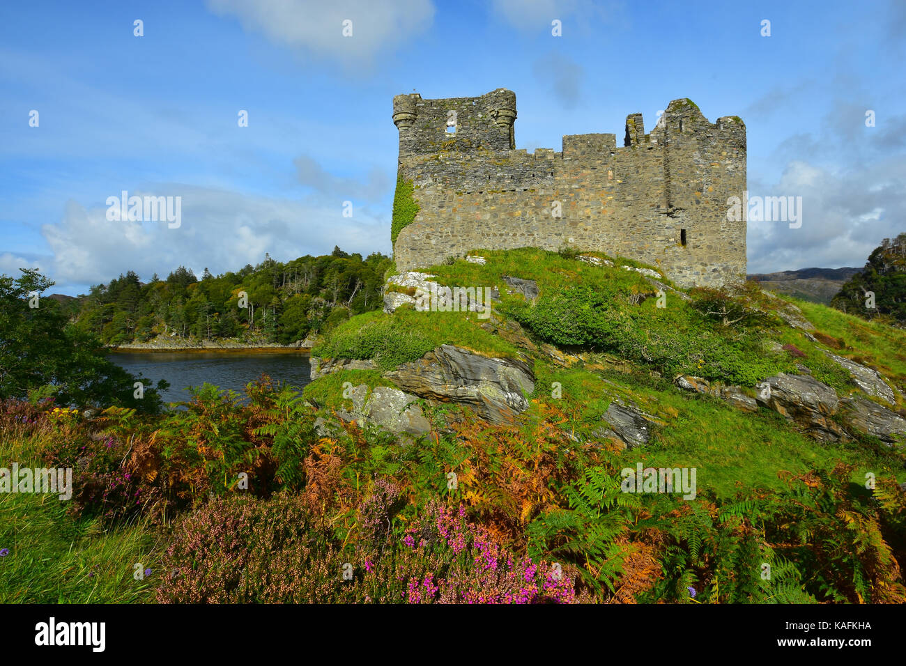 Castle Tioram - Ardnamurchan Peninsula - Scotland Stock Photo - Alamy