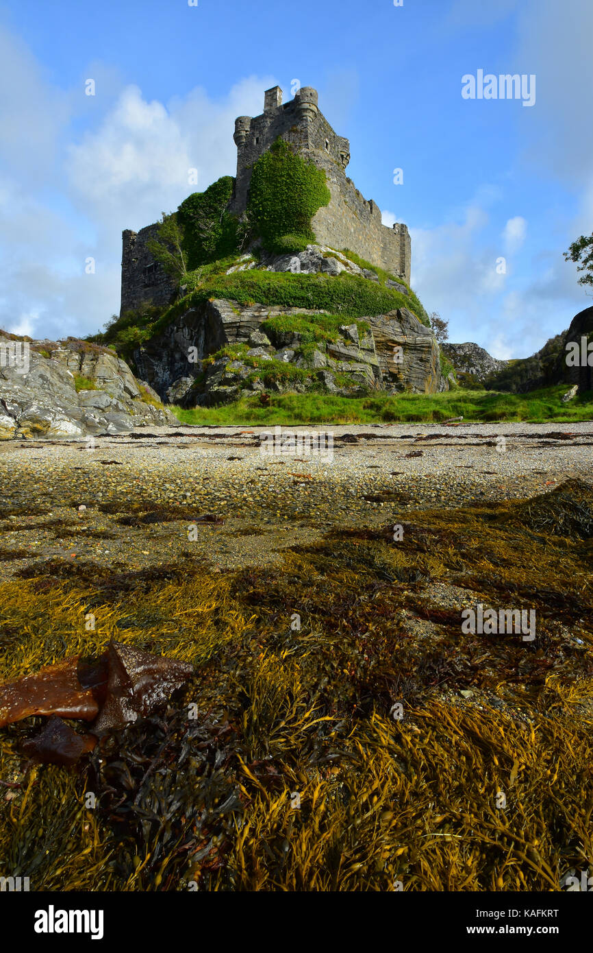 Castle Tioram - Ardnamurchan Peninsula - Scotland Stock Photo - Alamy
