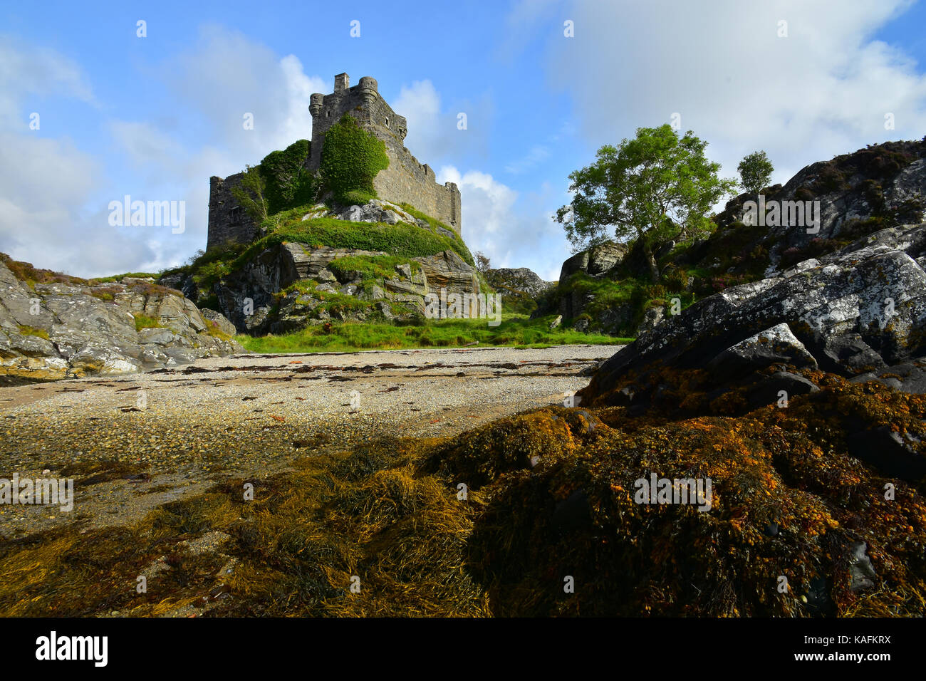 Castle Tioram - Ardnamurchan Peninsula - Scotland Stock Photo - Alamy