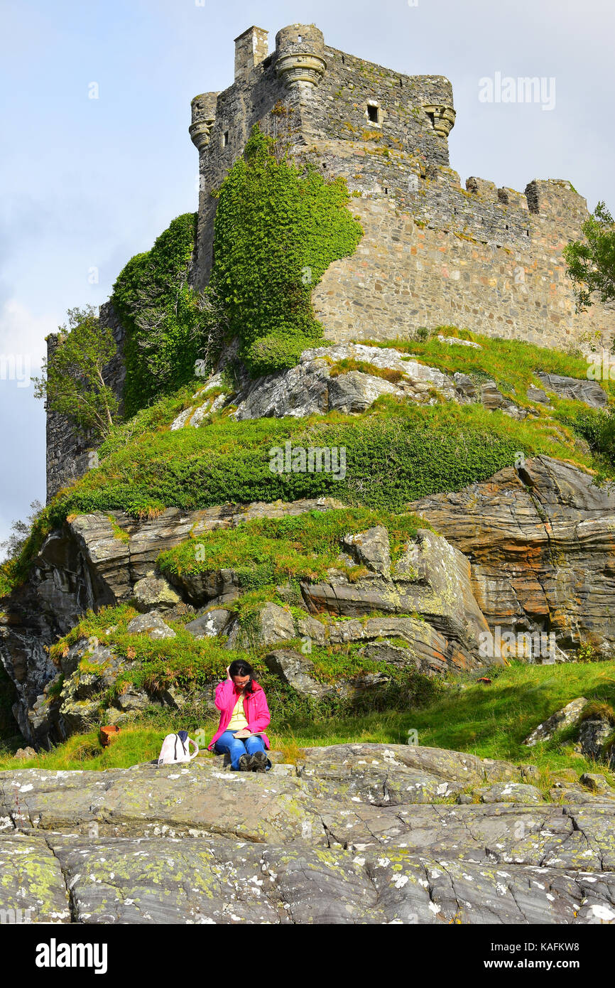 Castle Tioram - Ardnamurchan Peninsula - Scotland Stock Photo - Alamy