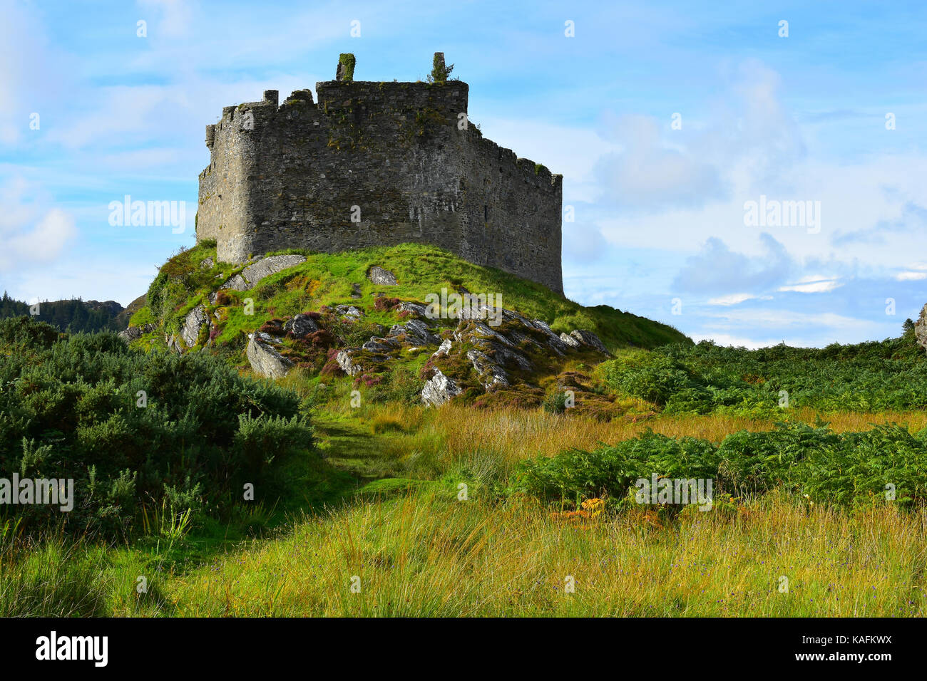 Castle Tioram - Ardnamurchan Peninsula - Scotland Stock Photo - Alamy