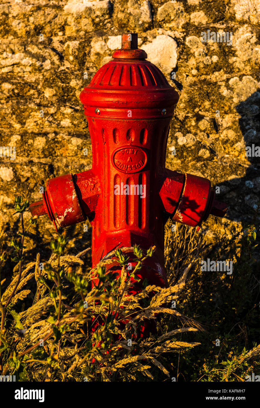 Fire hydrant in evening sunlight, Brittany, France Stock Photo - Alamy