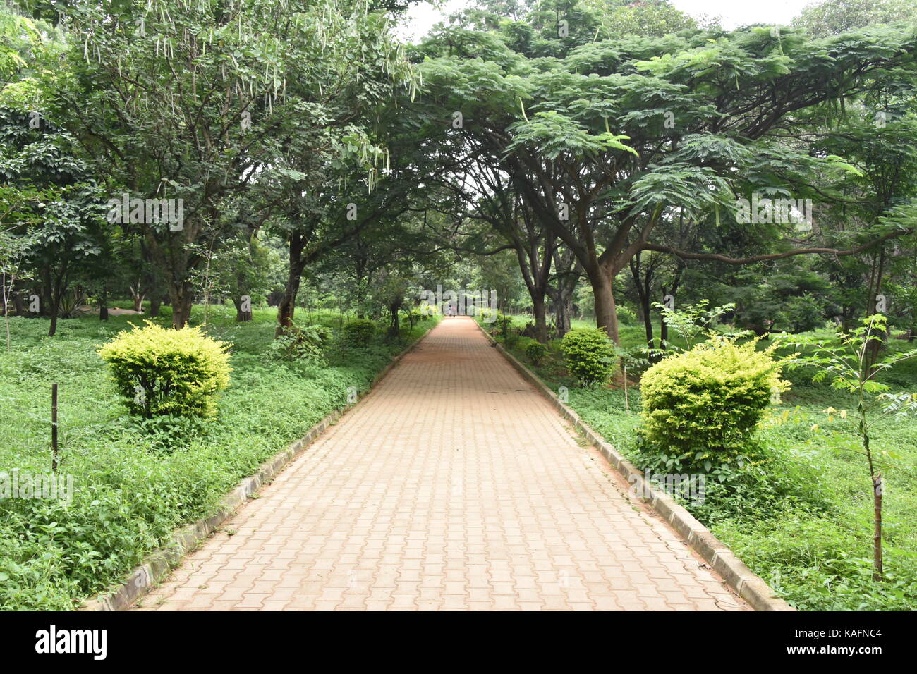 Cubbon park attractions hi-res stock photography and images - Alamy