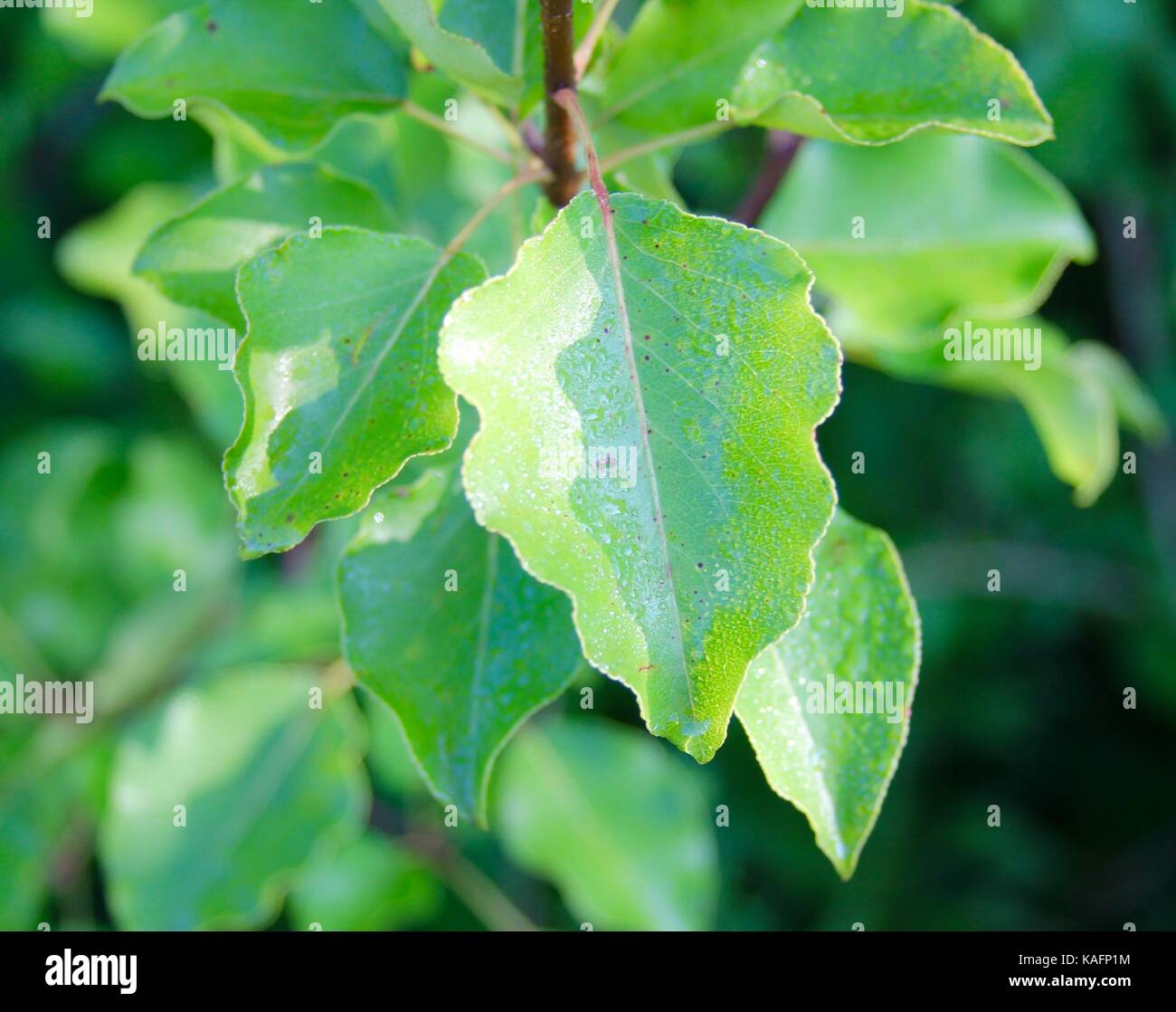 A sunny day in the parks of Butler County Ohio Stock Photo - Alamy