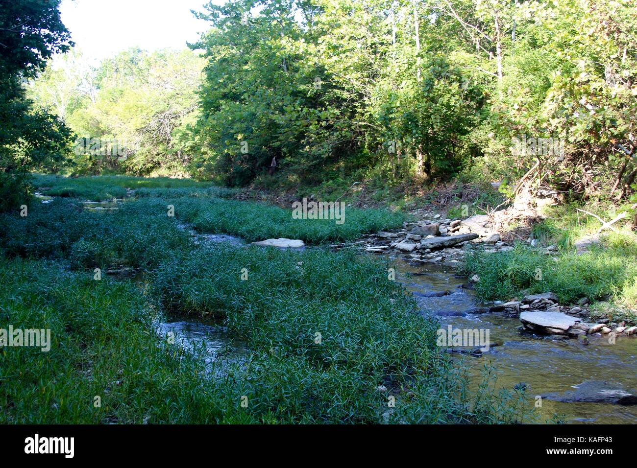 A sunny day in the parks of Butler County Ohio Stock Photo - Alamy