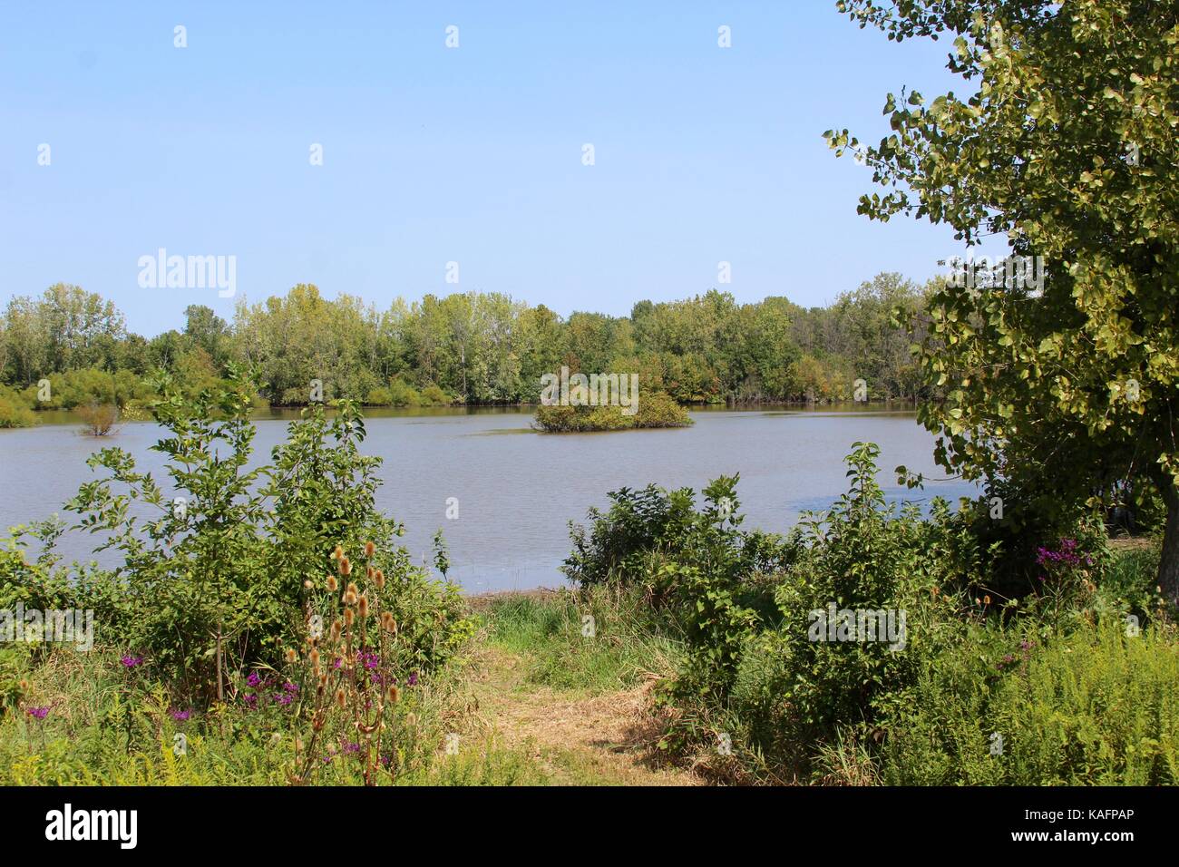 A sunny day in the parks of Butler County Ohio Stock Photo - Alamy