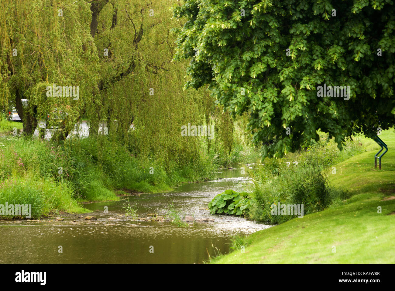 River Leven, Great Ayton, North Yorkshire Stock Photo - Alamy
