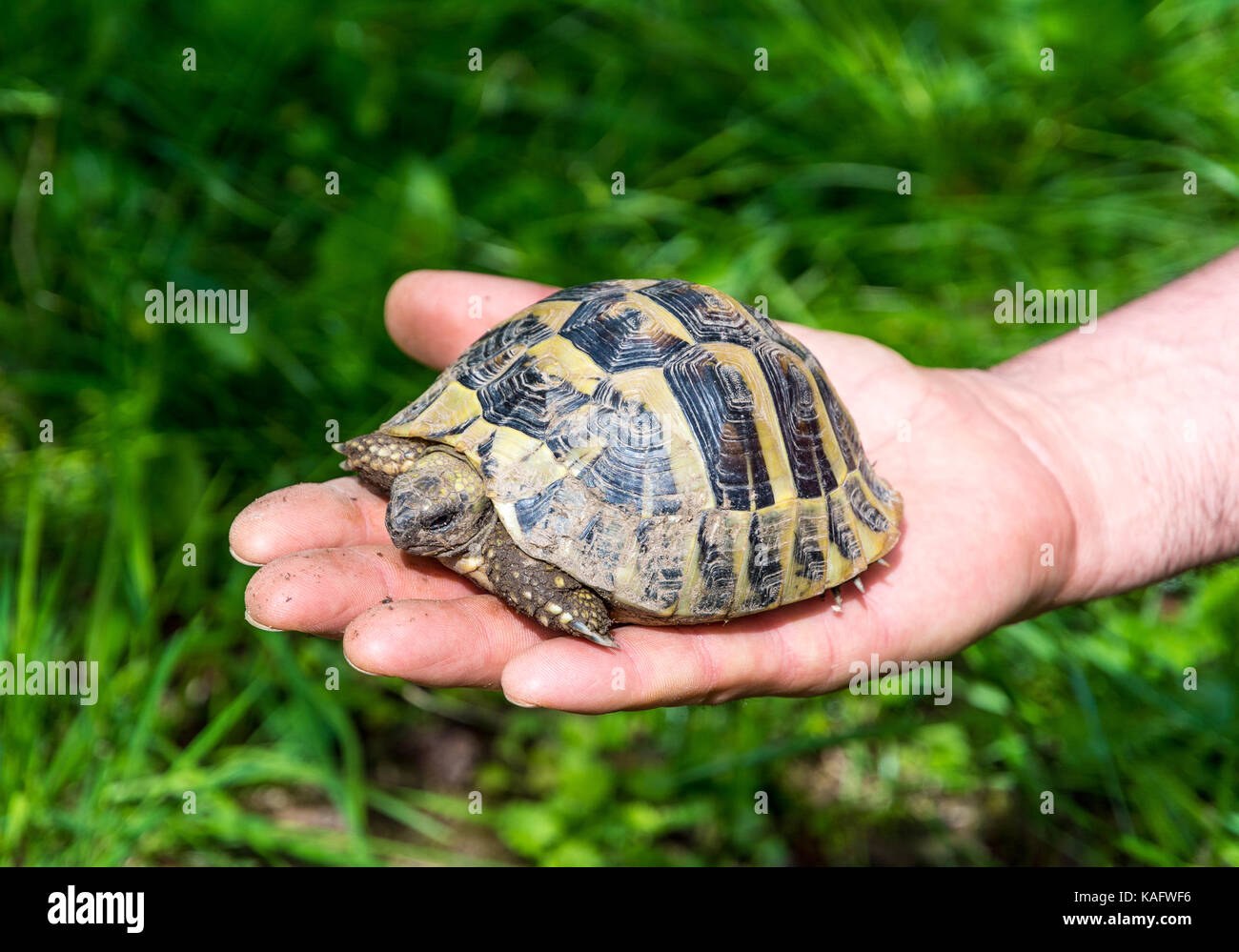 Edge of sahara desert hi-res stock photography and images - Alamy
