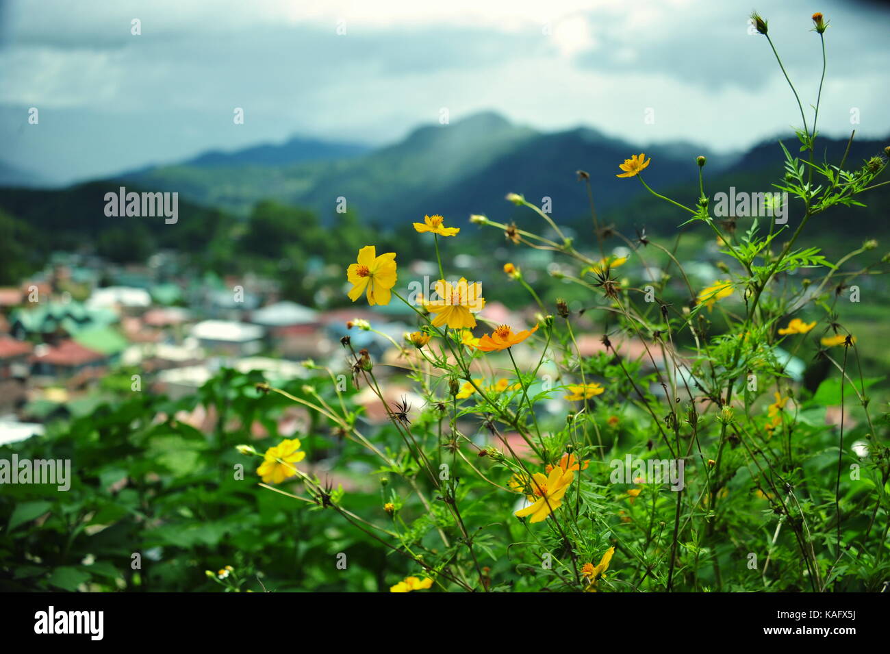 Sagada hiking hi-res stock photography and images - Alamy