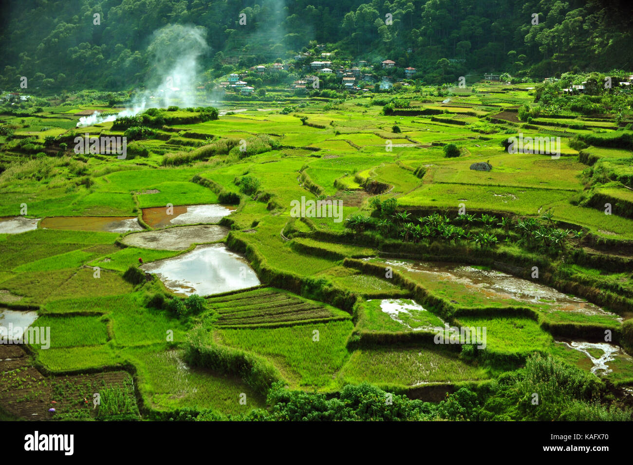 Rice Terraces, Sagada, Luzon, Philippines Stock Photo - Alamy