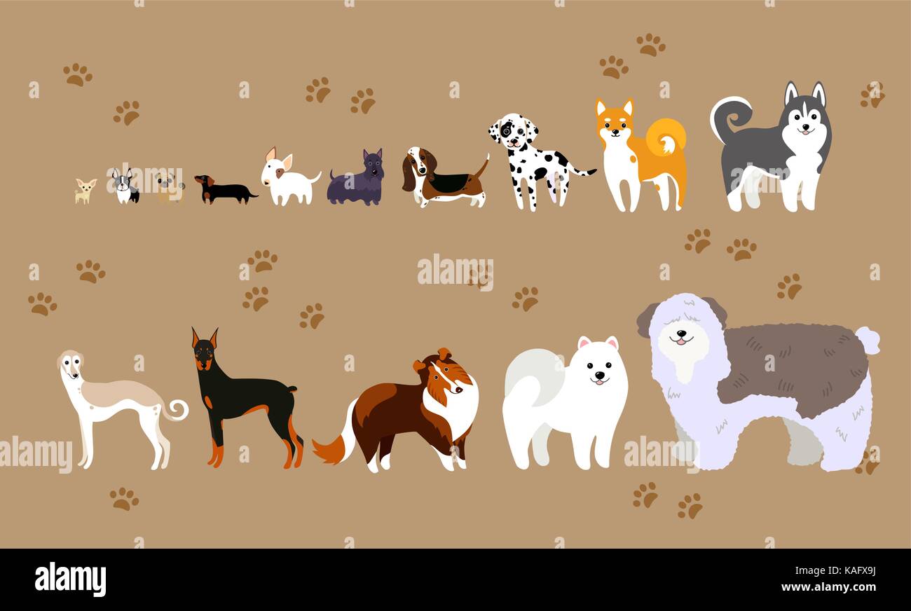 Cartoon dogs of different breeds Stock Vector Image & Art - Alamy