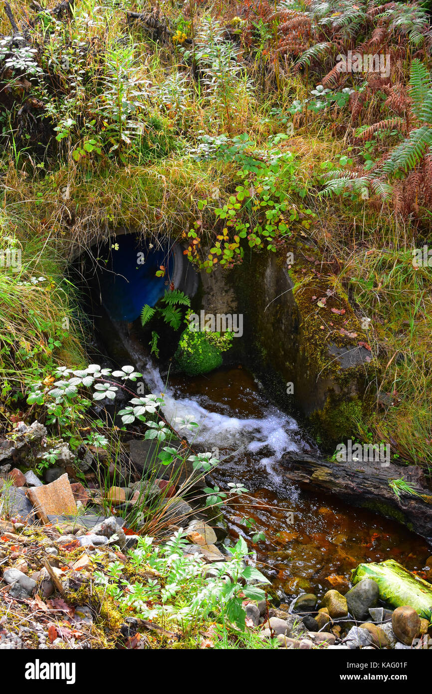 Water outlet of a stream running under a road Stock Photo - Alamy