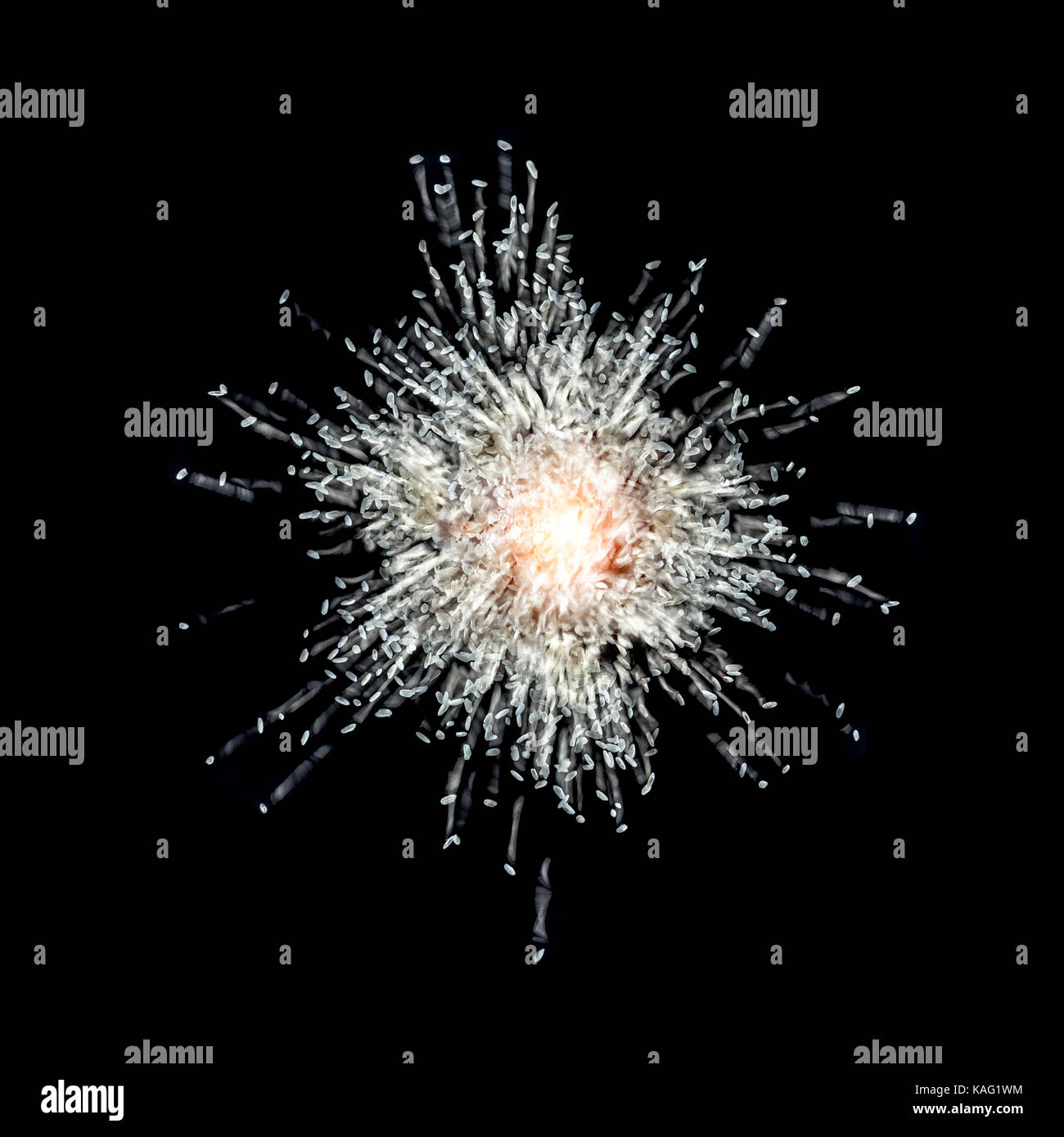 Food explosion hi-res stock photography and images - Alamy