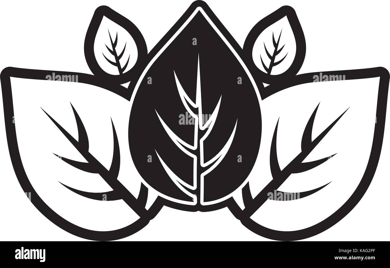 leaf design vector illustration Stock Vector Image & Art - Alamy