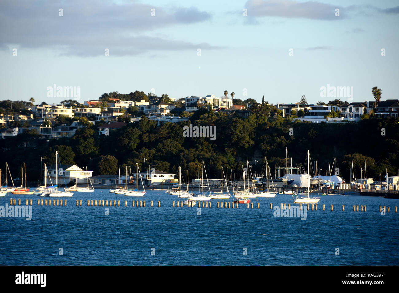 Auckland Harbour, New Zealand Stock Photo - Alamy