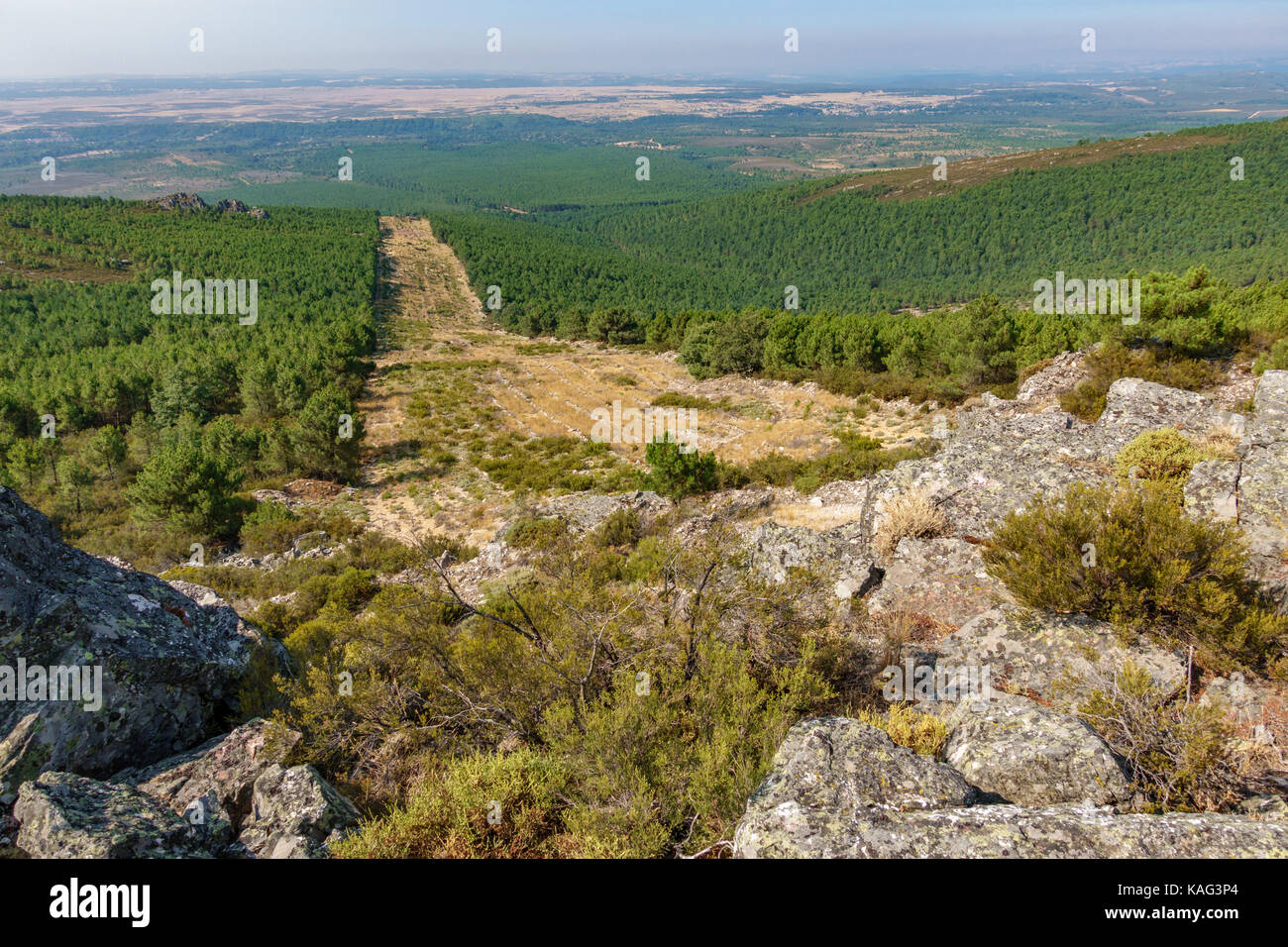 Forest fire prevention hi-res stock photography and images - Alamy