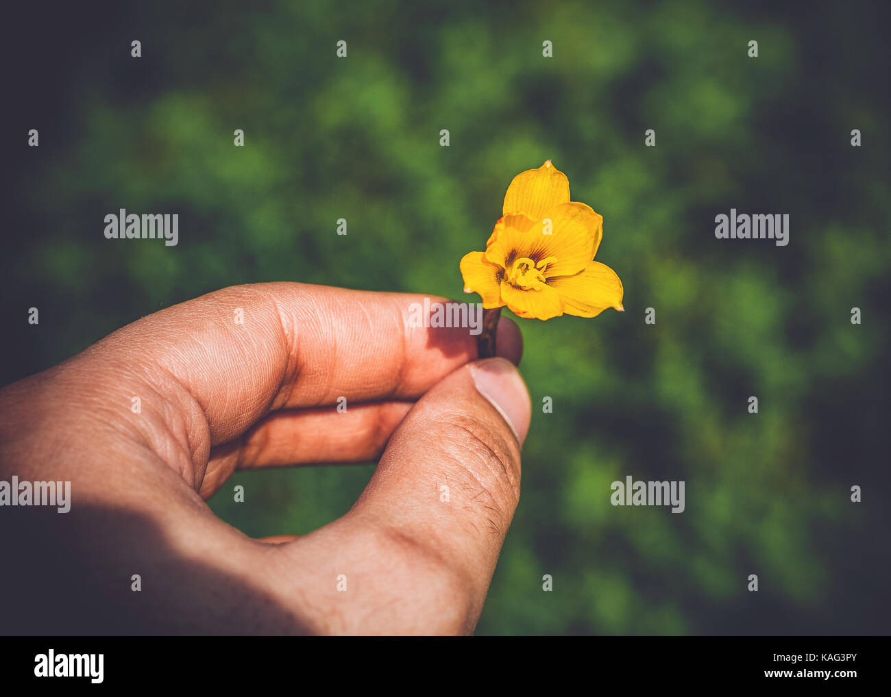 Warm grading hi-res stock photography and images - Alamy