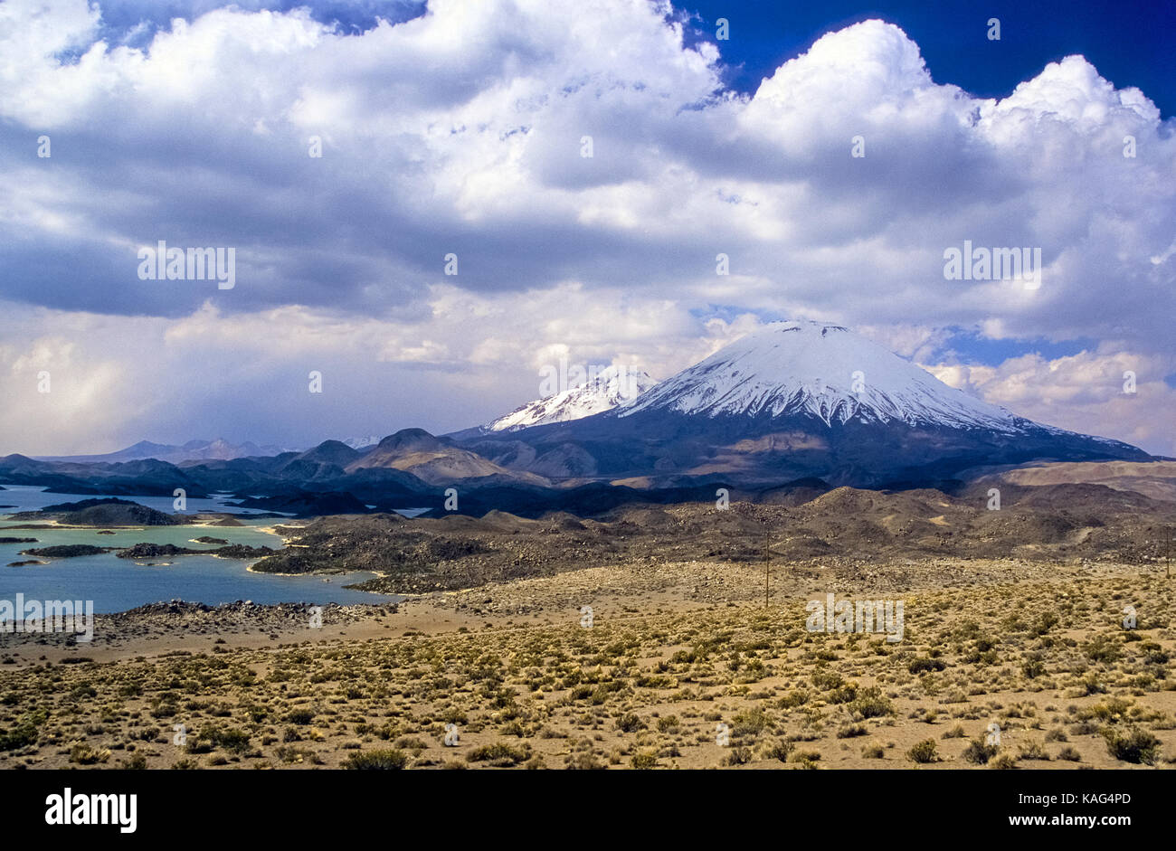 Parina hi-res stock photography and images - Alamy