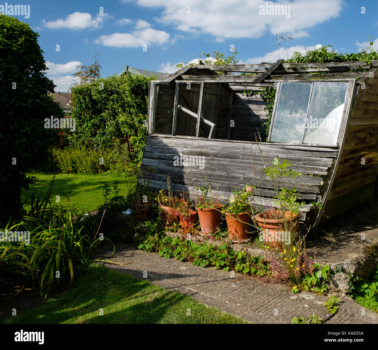 Old and dilapidated suburban garden shed starting to collapse Stock ...