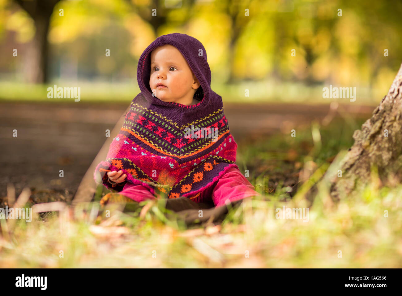 cute happy child baby playing outside in autumn fall sun Stock Photo ...