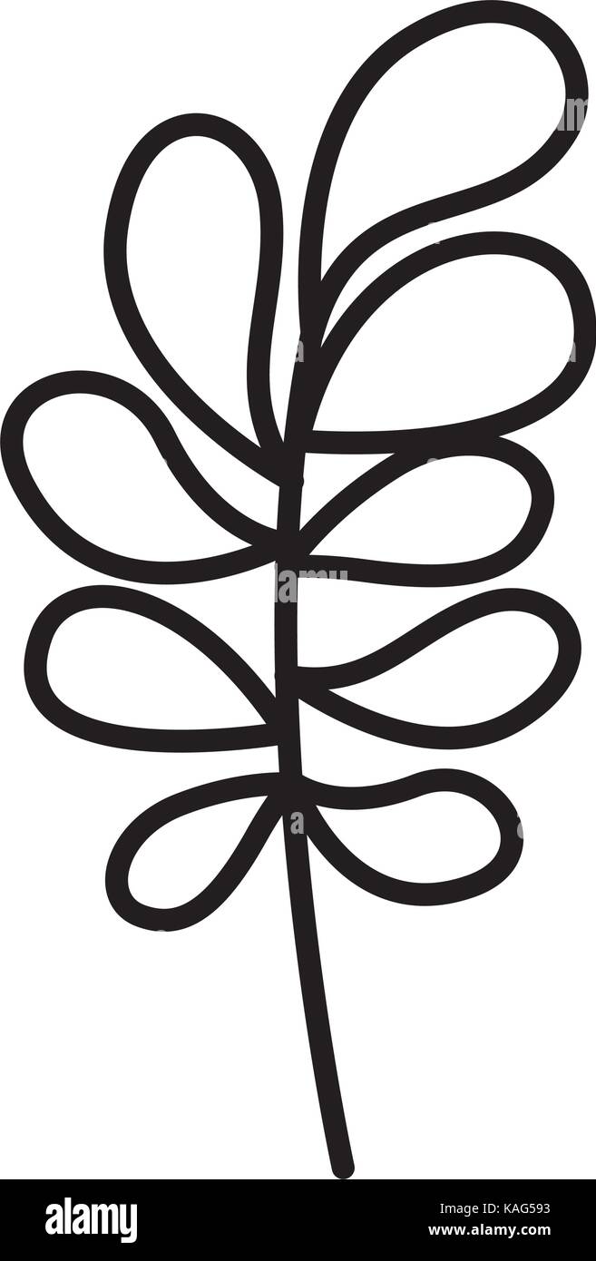 ramification with rounded leaves on black silhouette Stock Vector Image ...