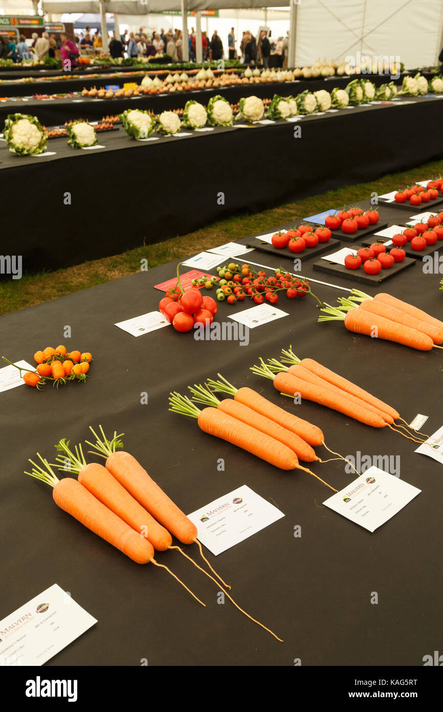 Vegetables at the Three Counties Autumn Show, Malvern Stock Photo - Alamy