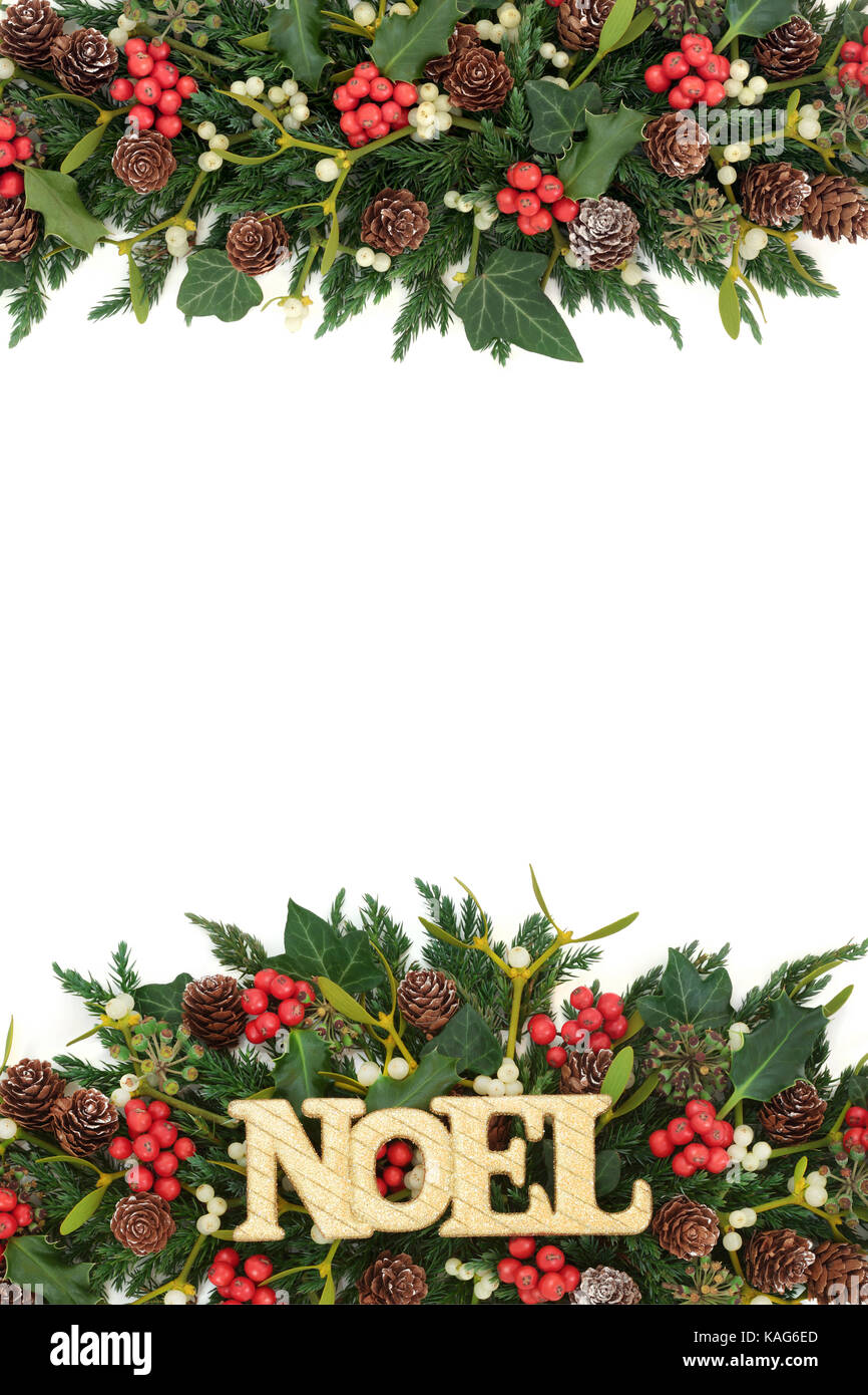 Festive christmas background border with gold noel sign, holly, ivy ...