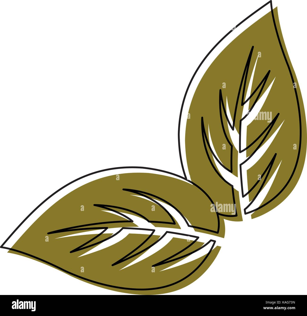 leaf design vector illustration Stock Vector Image & Art - Alamy