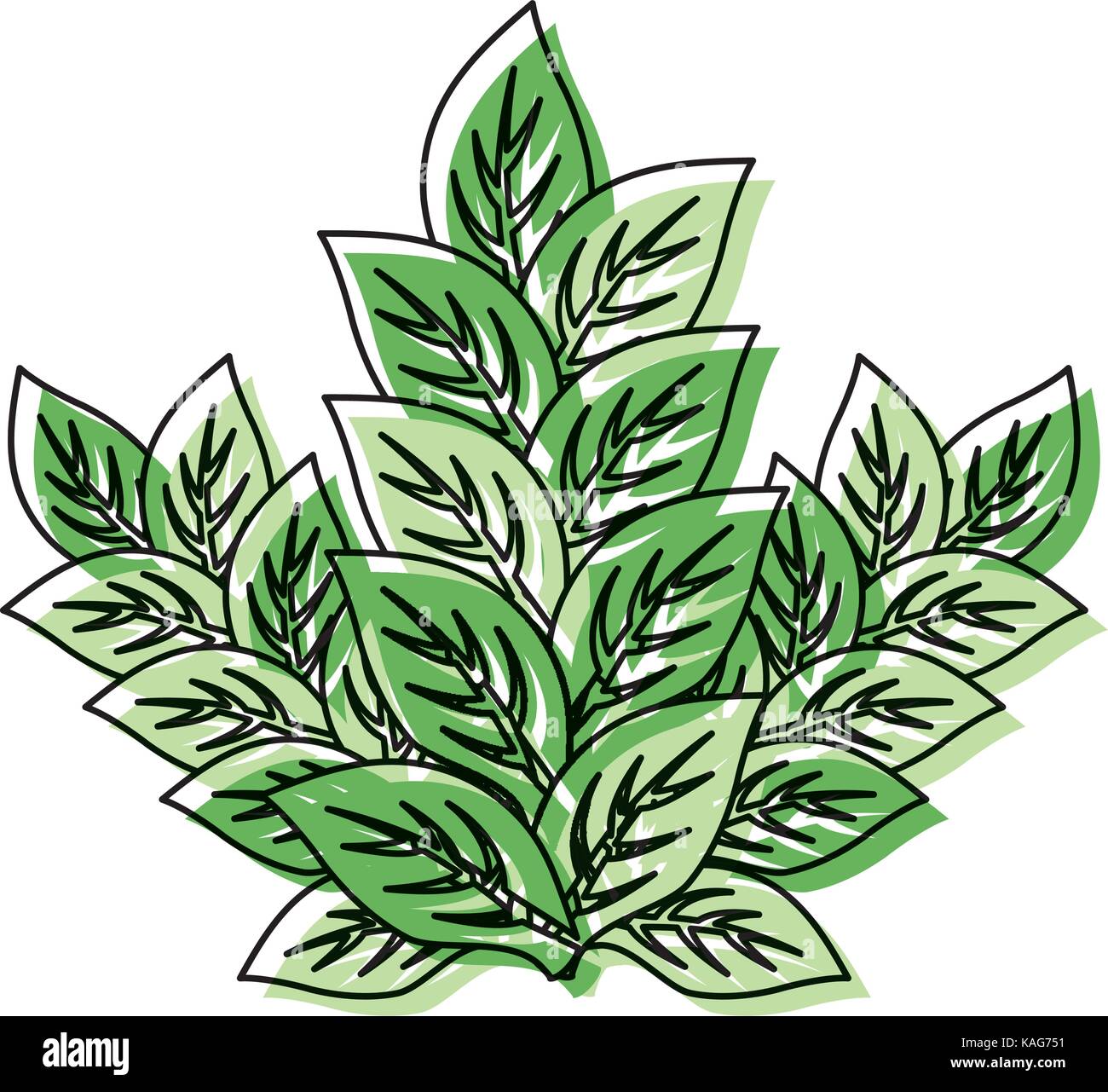 leaves vector illustration Stock Vector Image & Art - Alamy