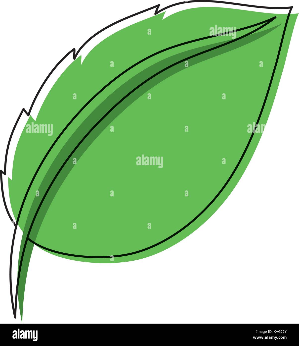 leaf vector illustration Stock Vector Image & Art - Alamy