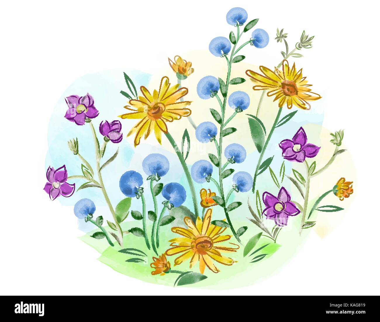 Watercolor flowers violets and pansy and leaves on meadow Stock Vector ...