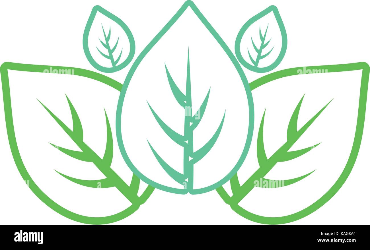 leaf design vector illustration Stock Vector Image & Art - Alamy