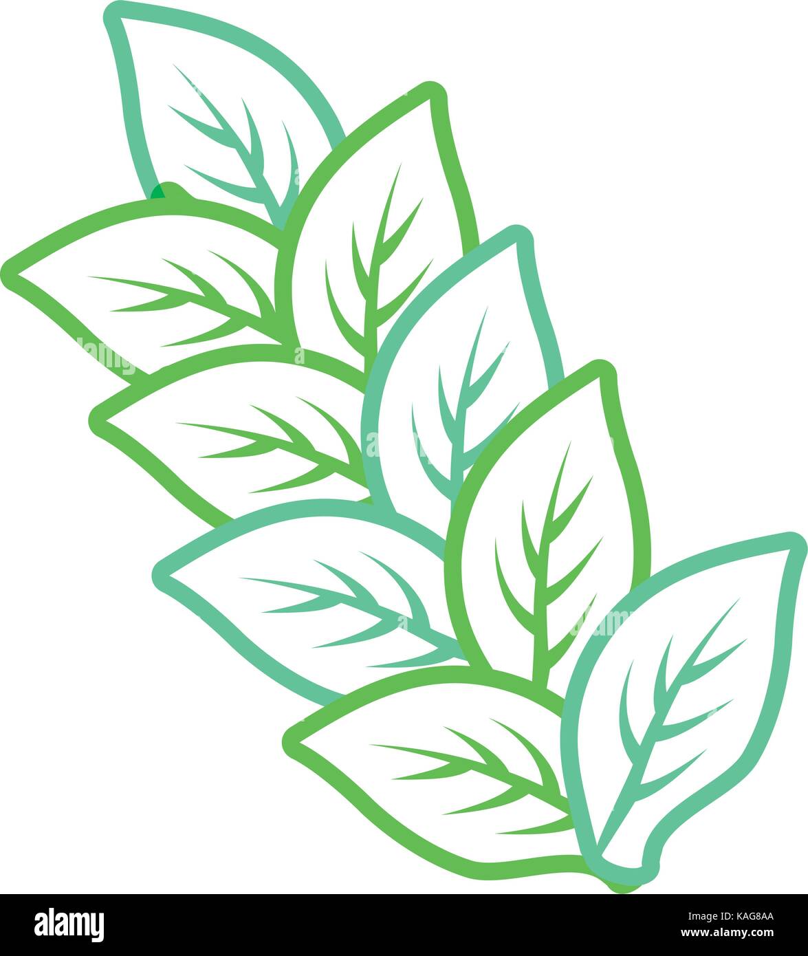 leaf design vector illustration Stock Vector Image & Art - Alamy