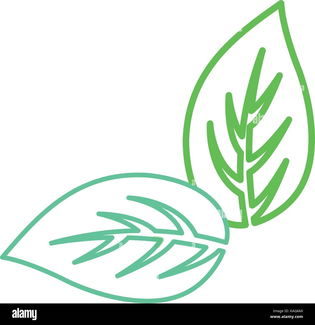 leaf design vector illustration Stock Vector Image & Art - Alamy