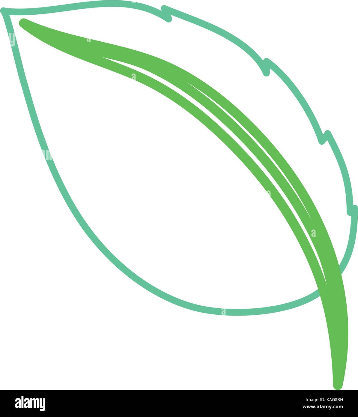 leaf design vector illustration Stock Vector Image & Art - Alamy