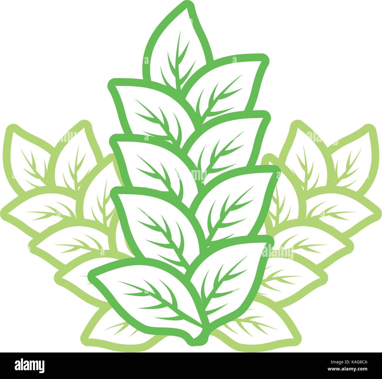 leaf design vector illustration Stock Vector Image & Art - Alamy