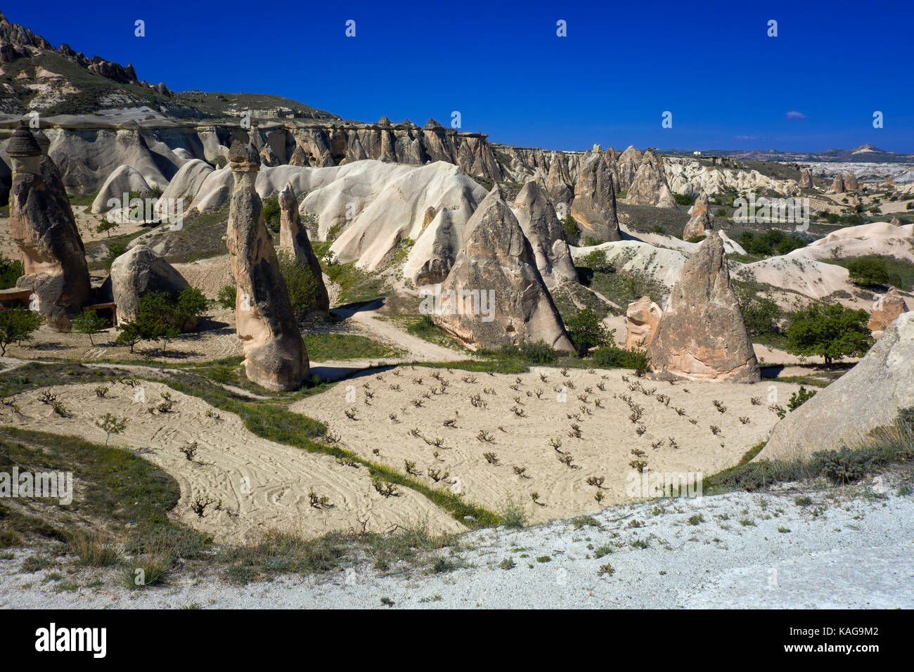 Typical landscape with fairy chimneys, eroded sandstone rock formations ...