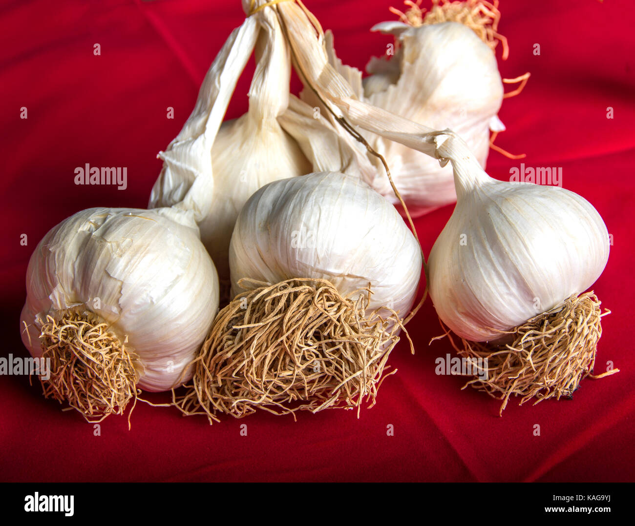 Garlic bulb and stems hi-res stock photography and images - Alamy
