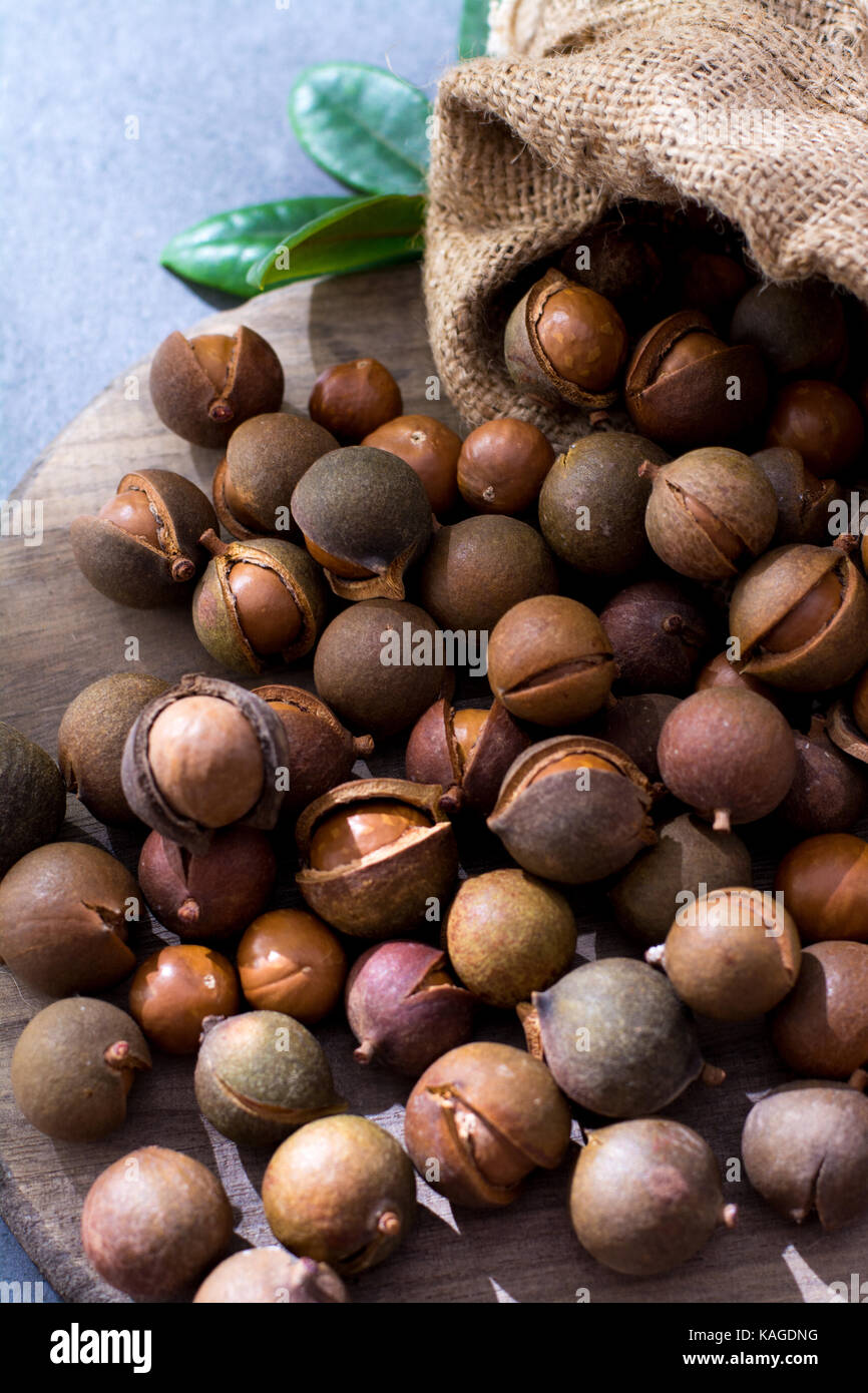 Australian macadamia nuts, unpeeld fresh harvest close up Stock Photo ...